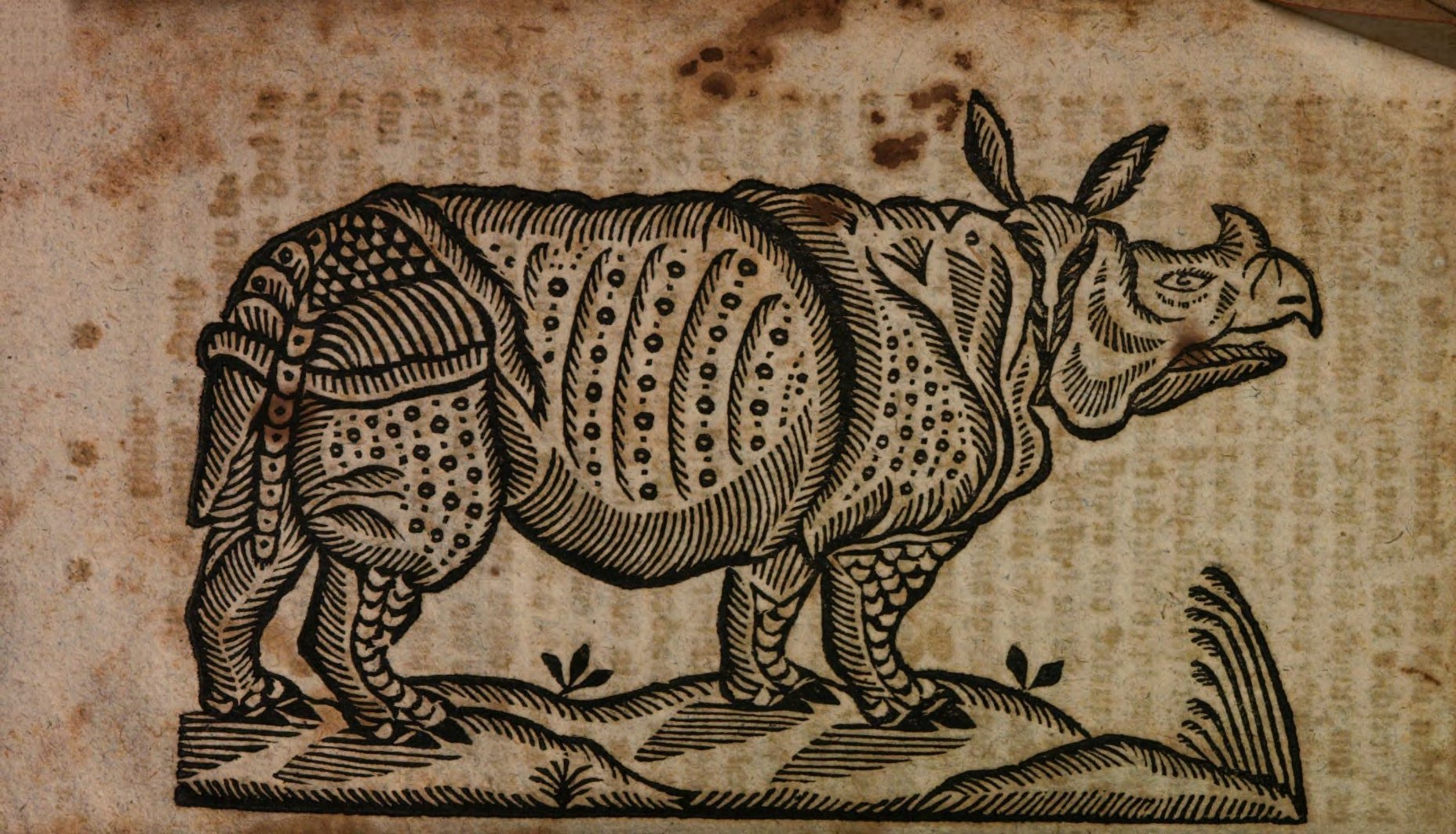 1747 / Freiberg, Germany — Rhino Resource Center