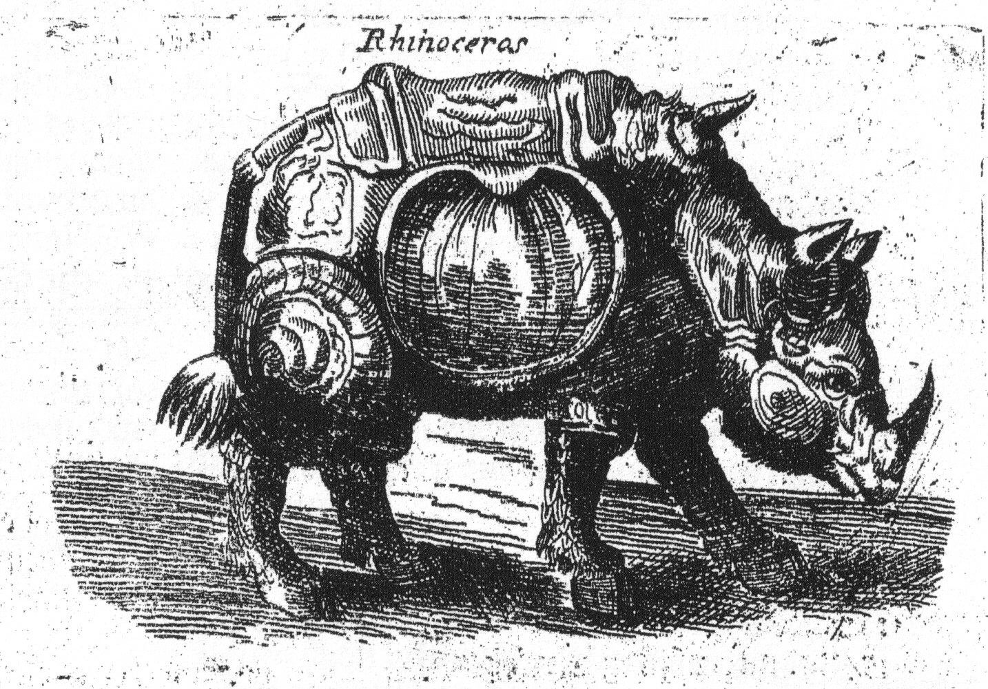 Valentini 1714 — Rhino Resource Center