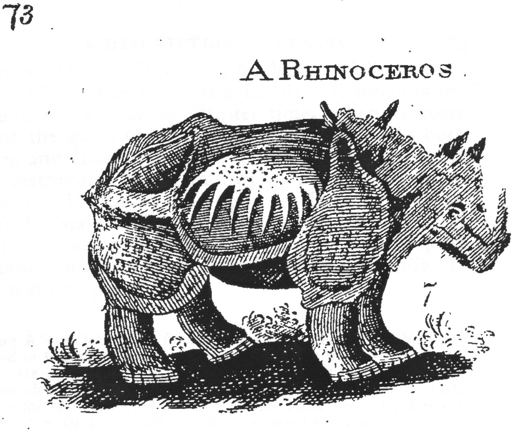 Boreman 1795 — Rhino Resource Center