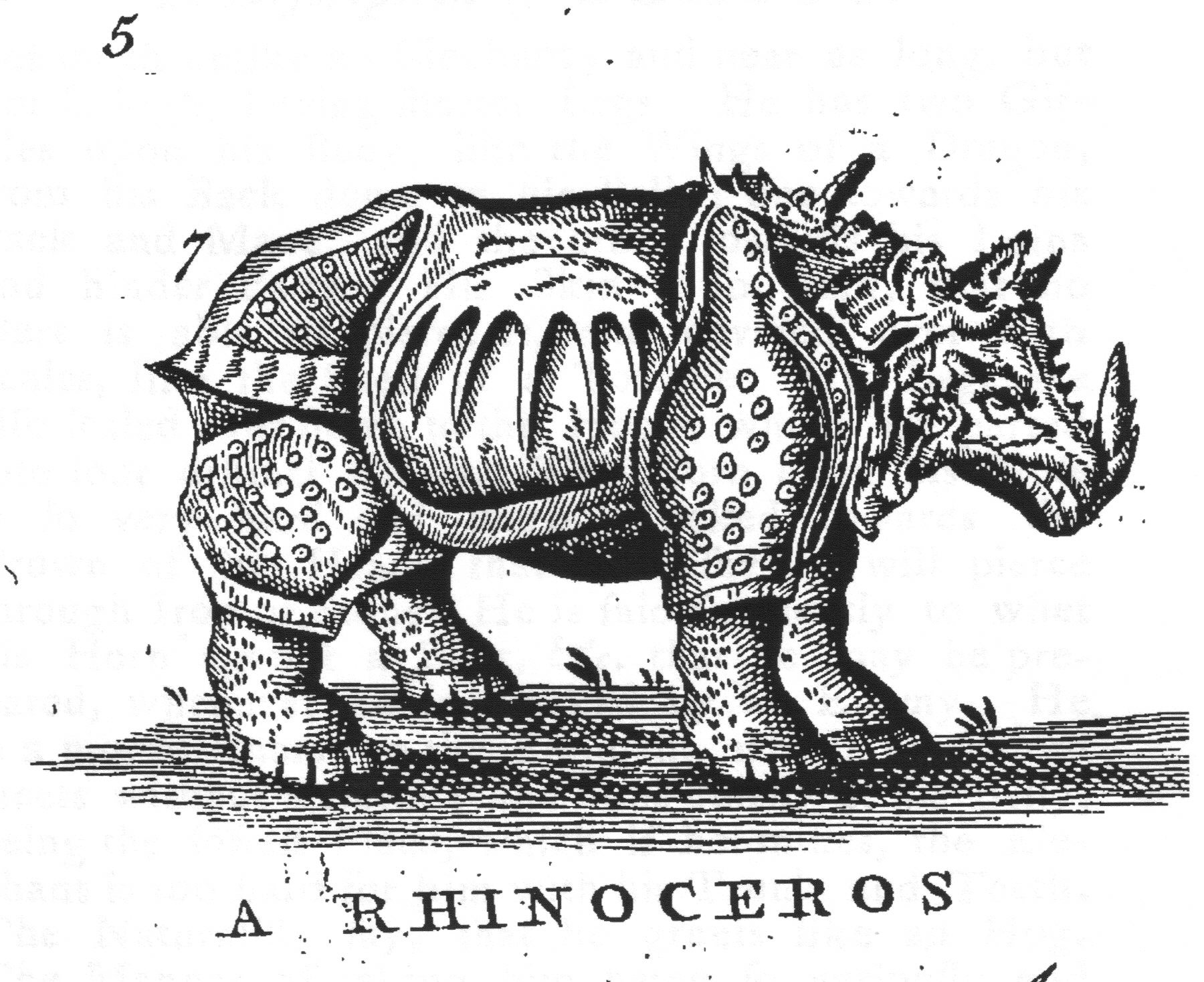 Boreman 1796 — Rhino Resource Center