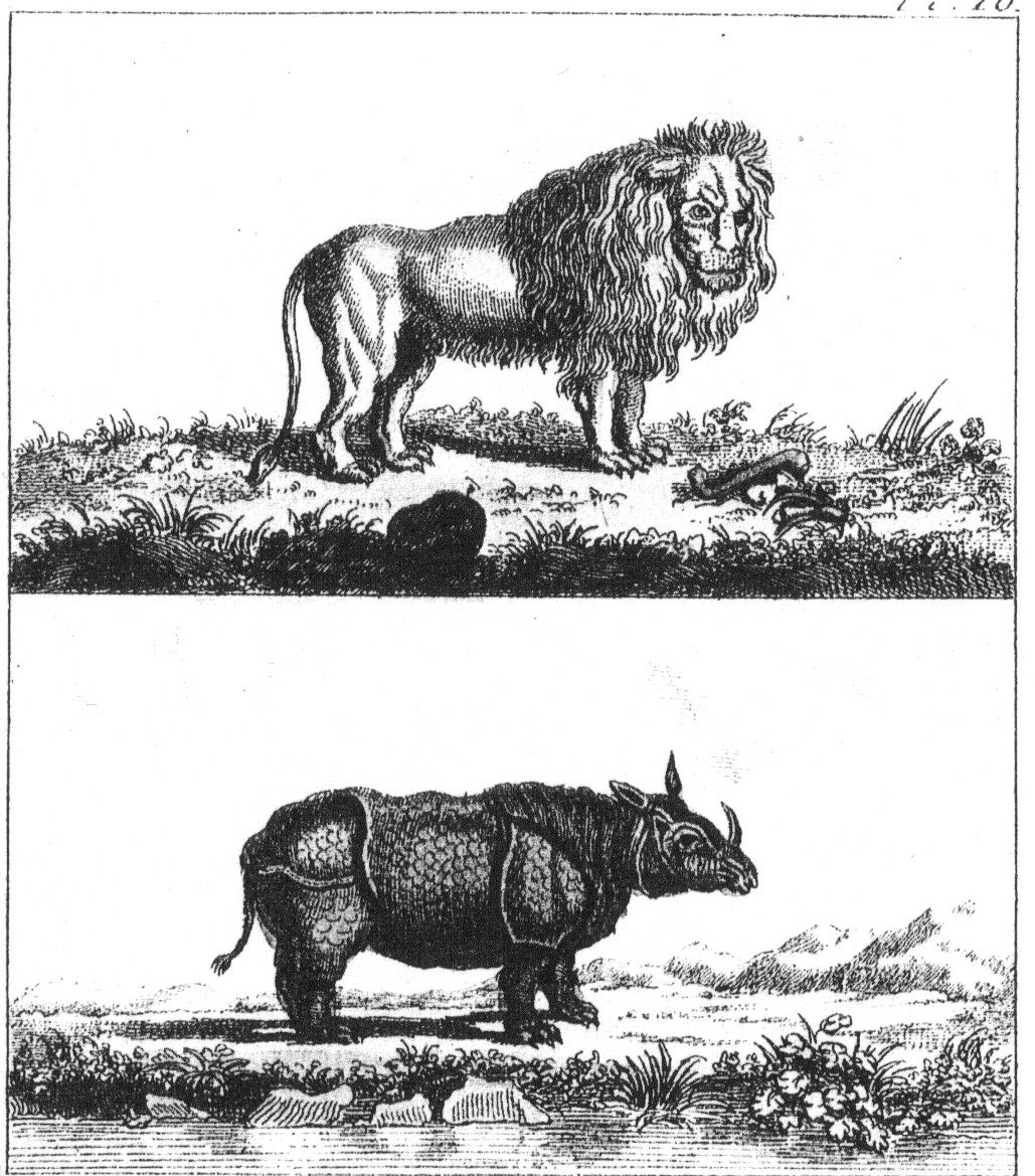 Trap 1815 — Rhino Resource Center