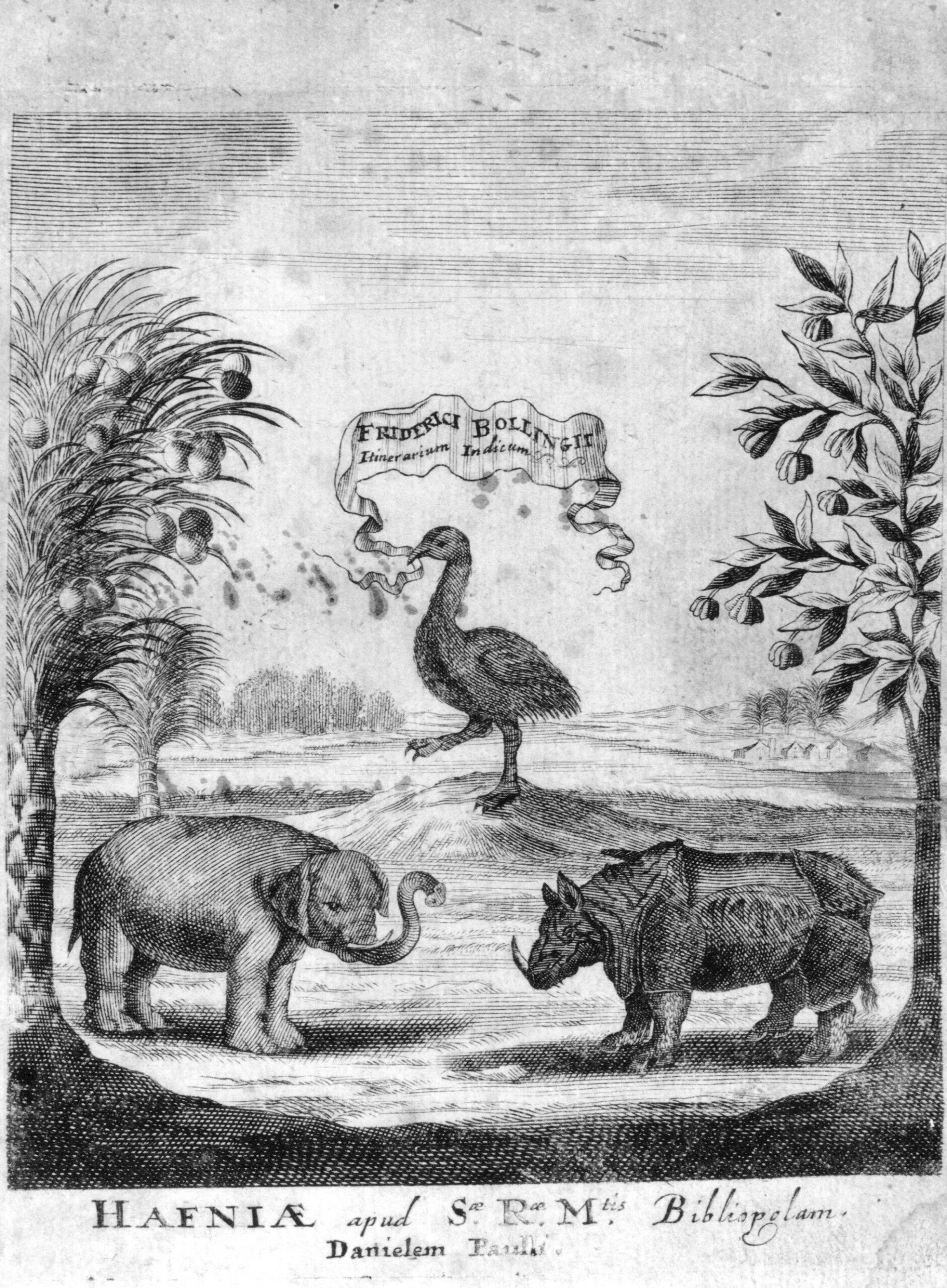 Bolling 1678 — Rhino Resource Center