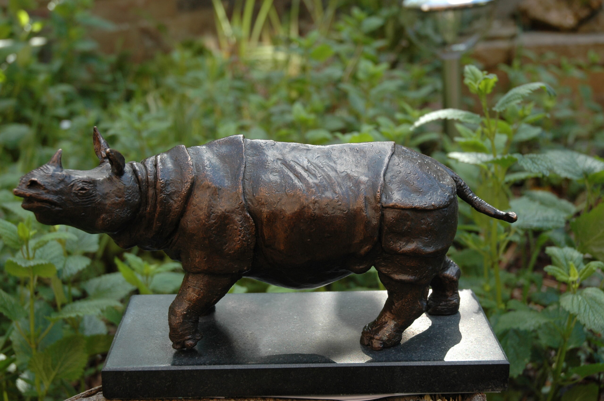 Bronze rhino — Rhino Resource Center
