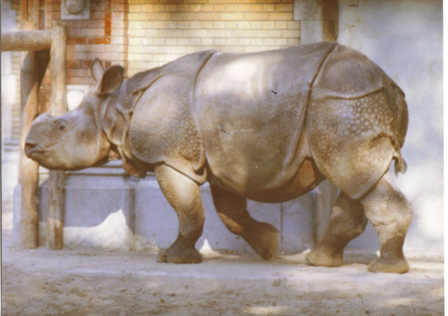 Antwerp 1972 — Rhino Resource Center