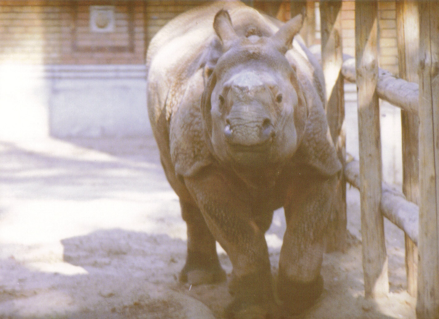 Antwerp 1972 — Rhino Resource Center