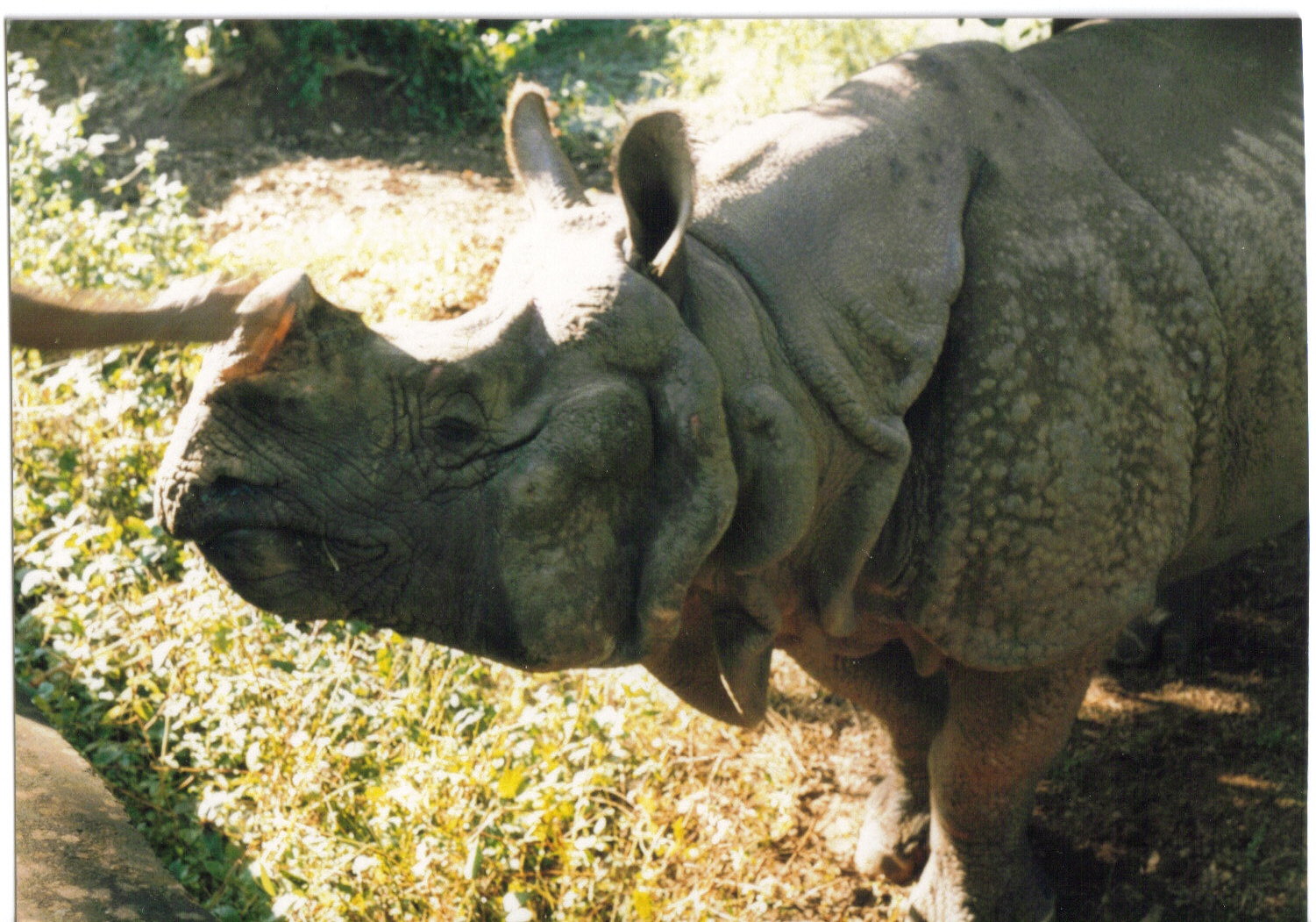 Bhubaneswar — Rhino Resource Center