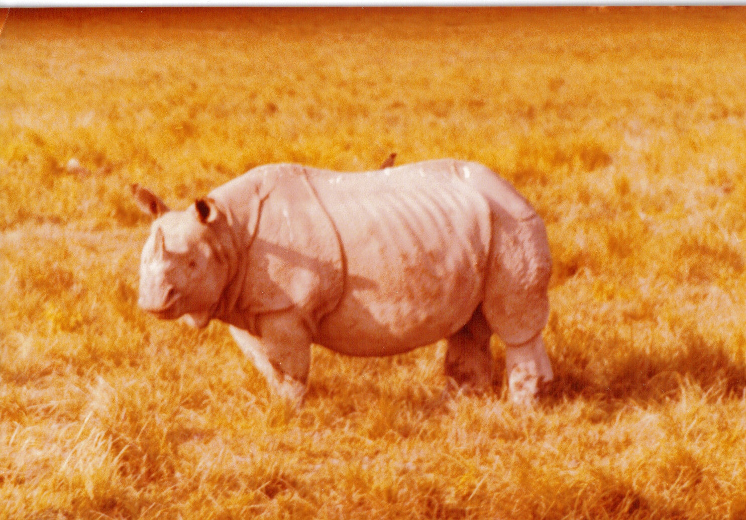 Kaziranga — Rhino Resource Center