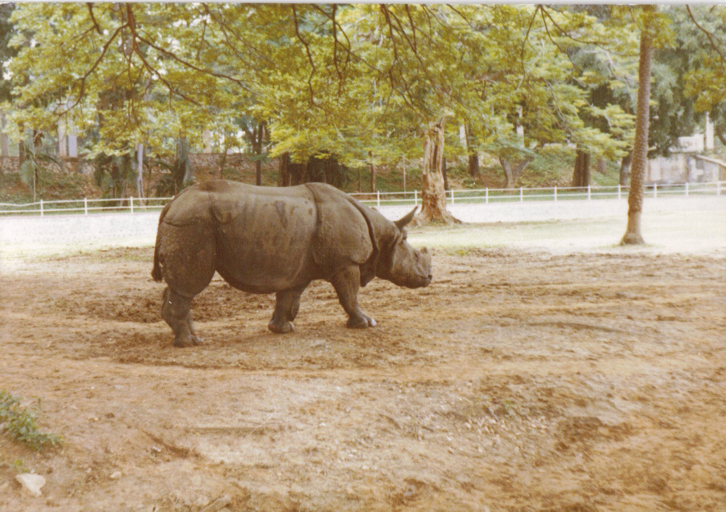 Mysore 1972 — Rhino Resource Center