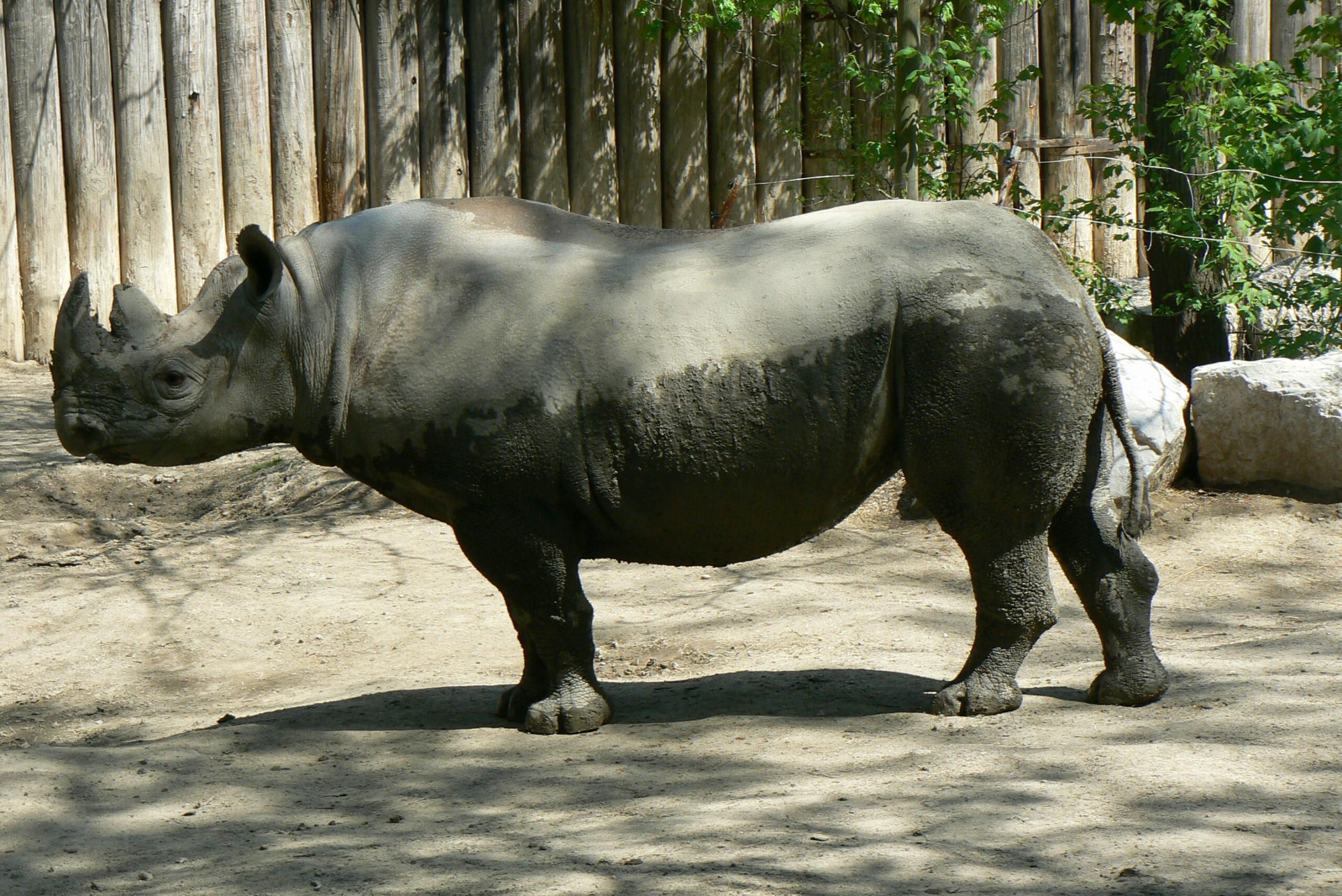 Brookfield Kizuri — Rhino Resource Center