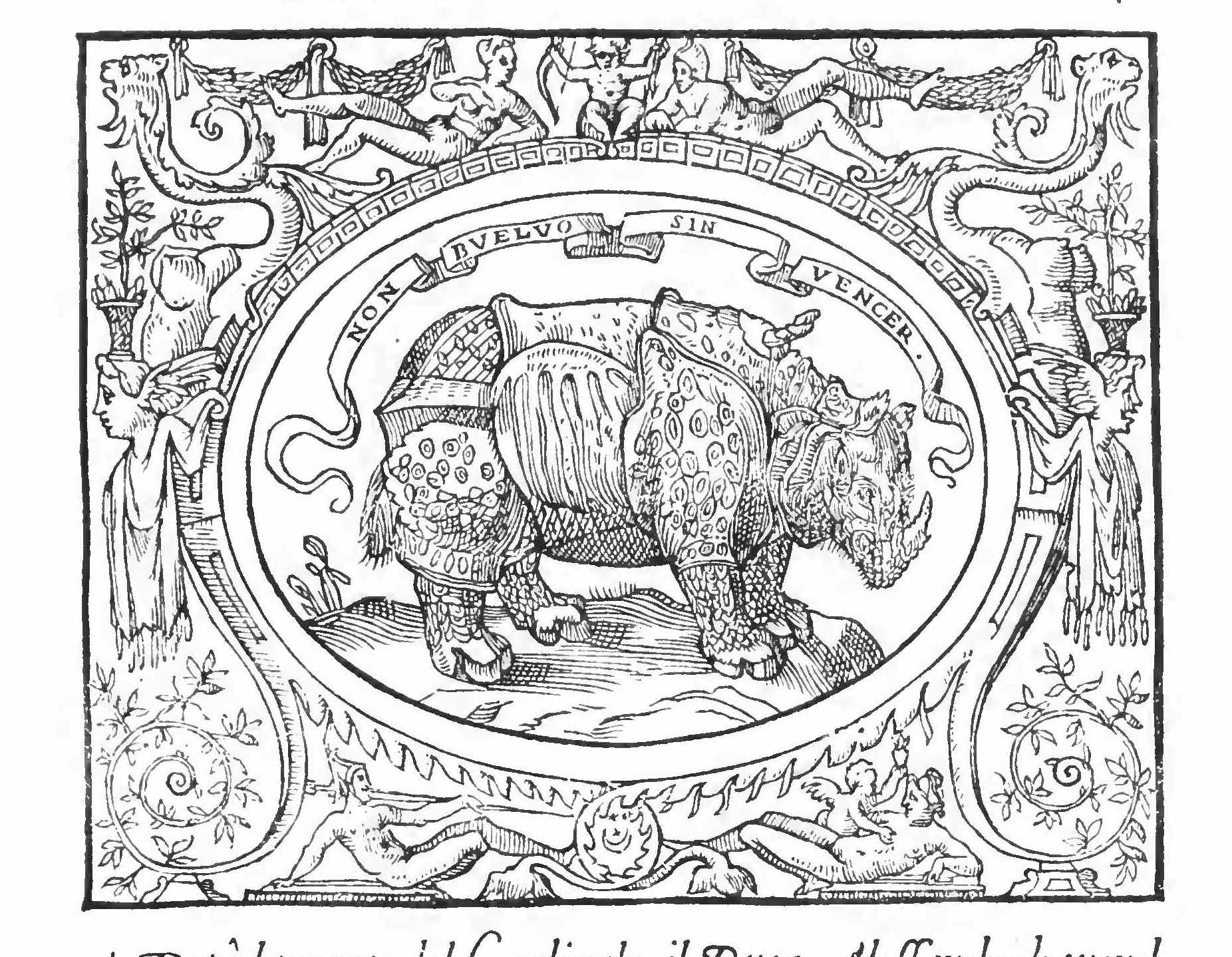 Jovius 1559 — Rhino Resource Center