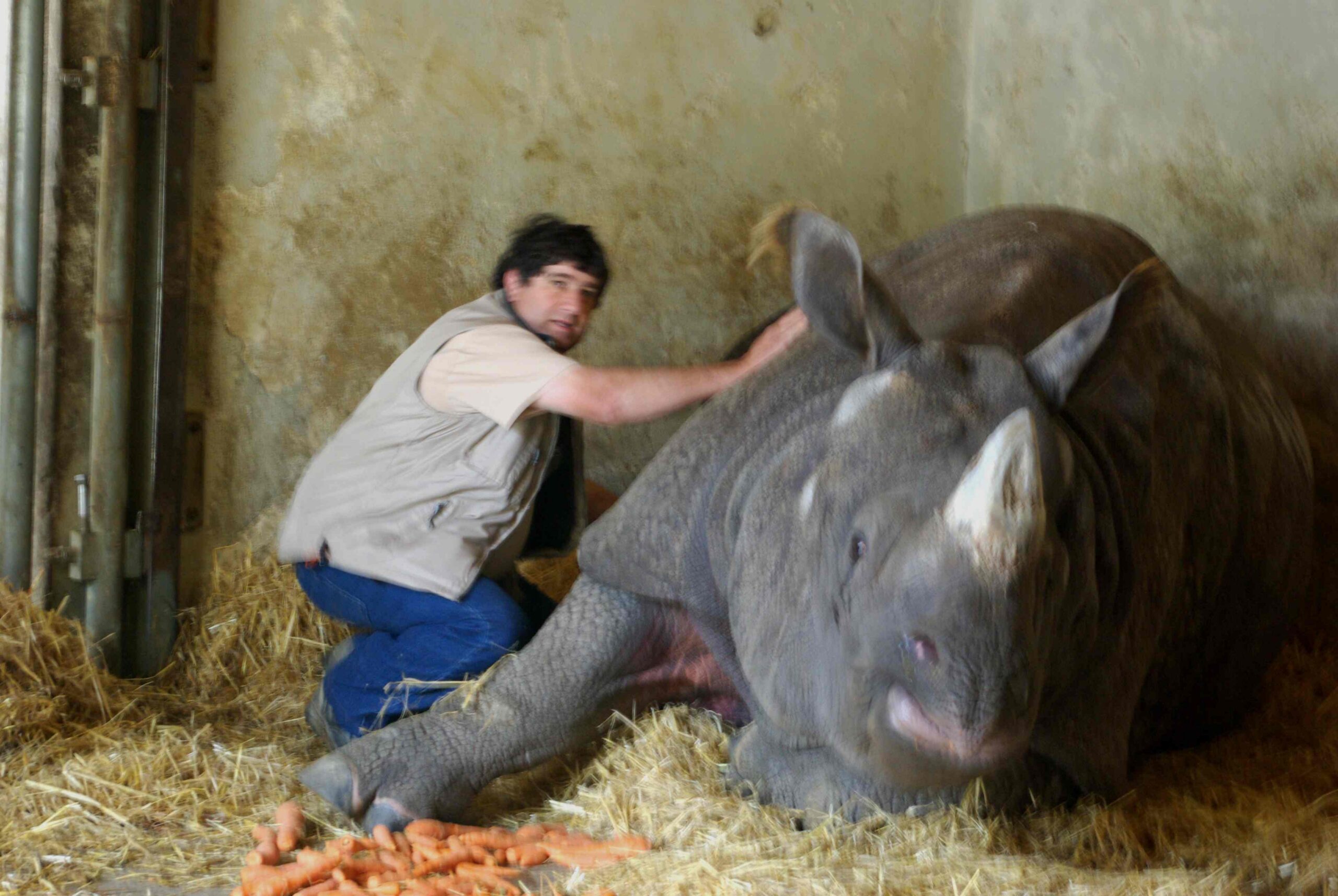 Lisbon Indian — Rhino Resource Center