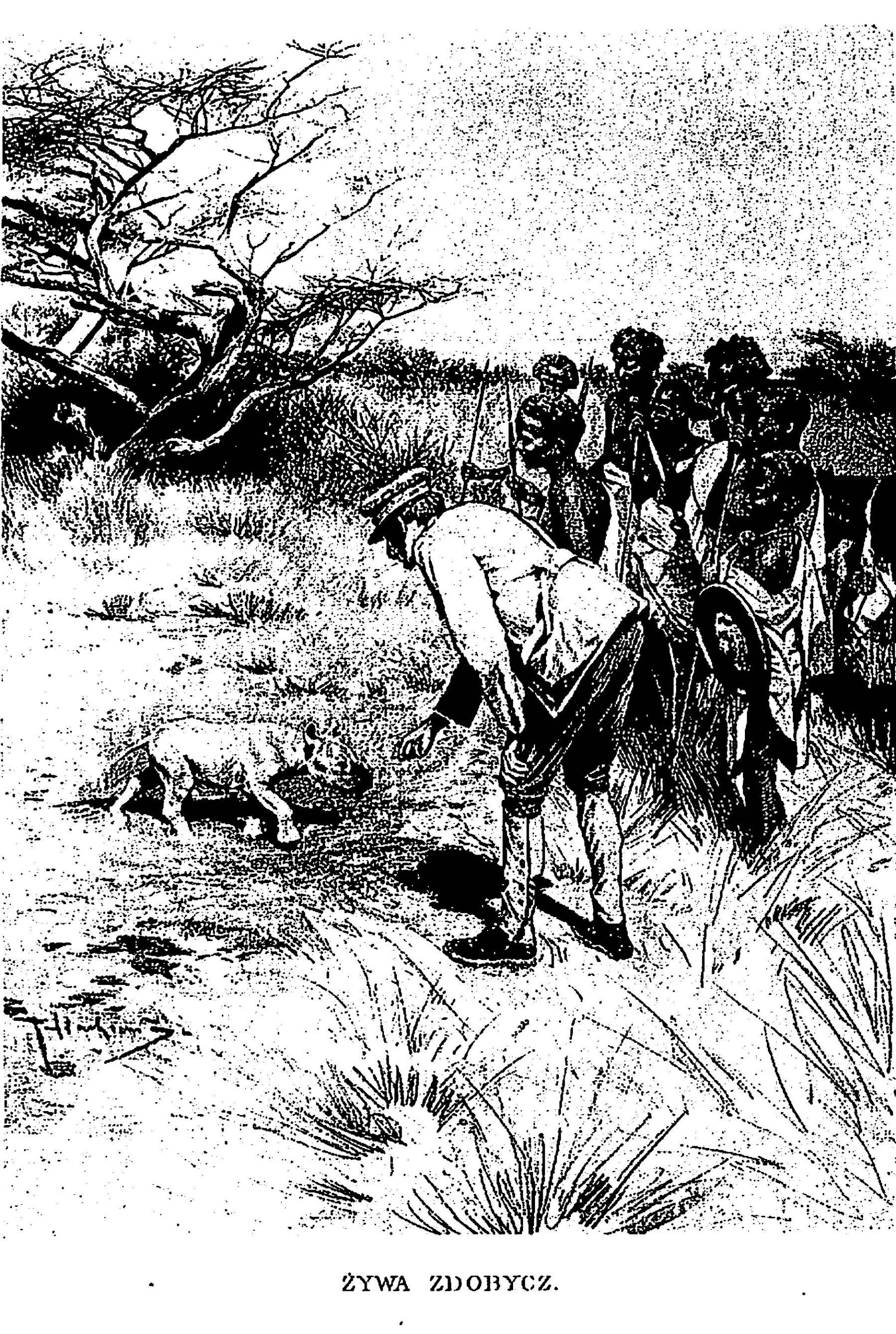 Potocki 1897 — Rhino Resource Center