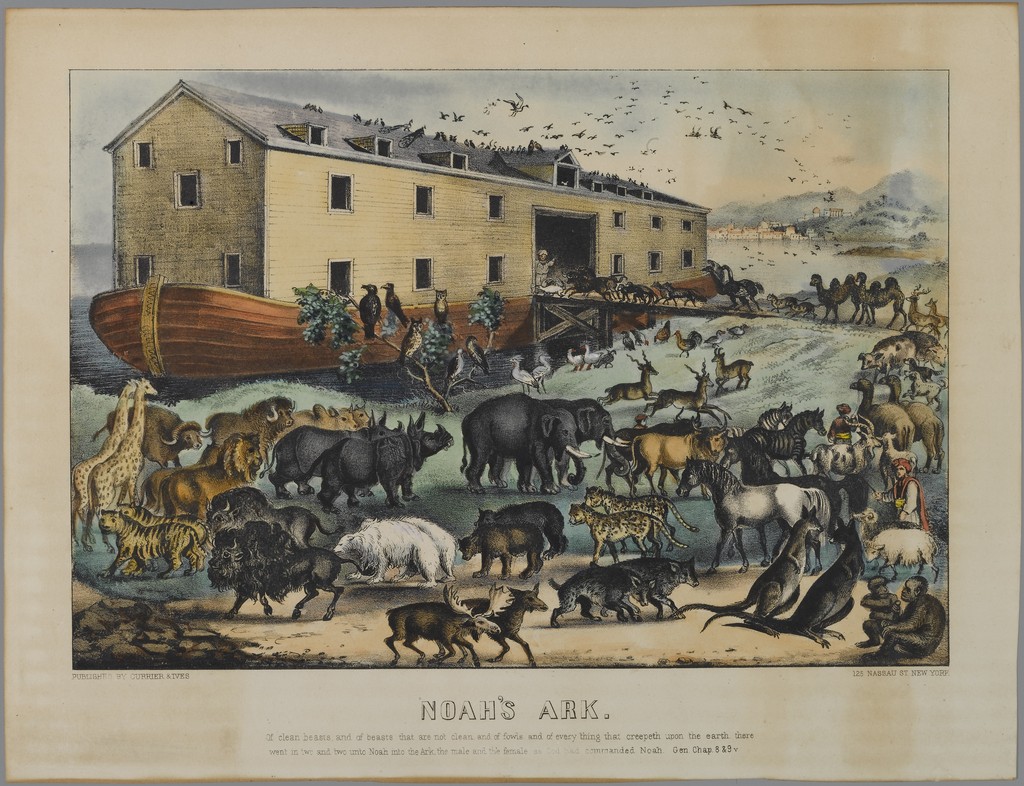 Currier's Noah's Ark — Rhino Resource Center