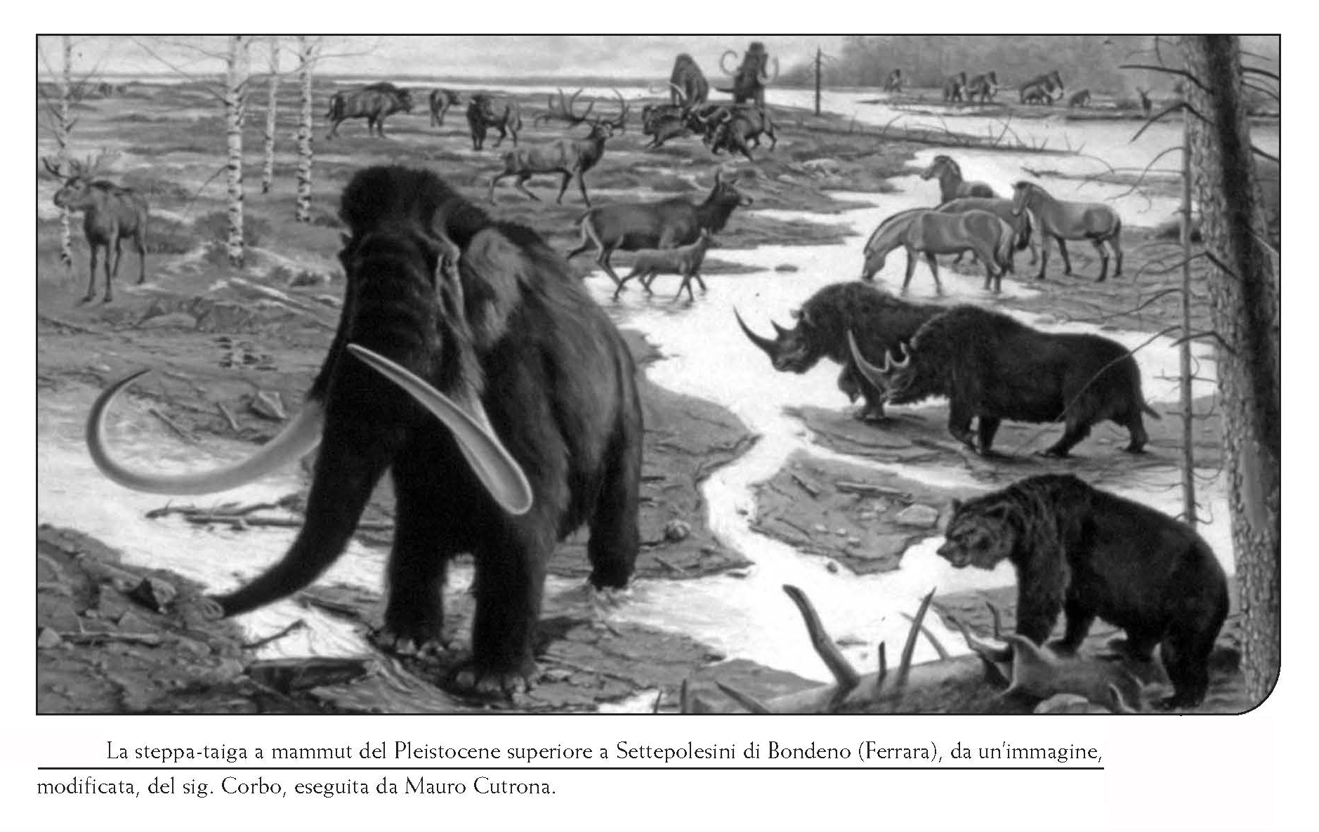 The Late Pleistocene steppe-taiga at Settepolesini di Bondeno (Ferrara ...