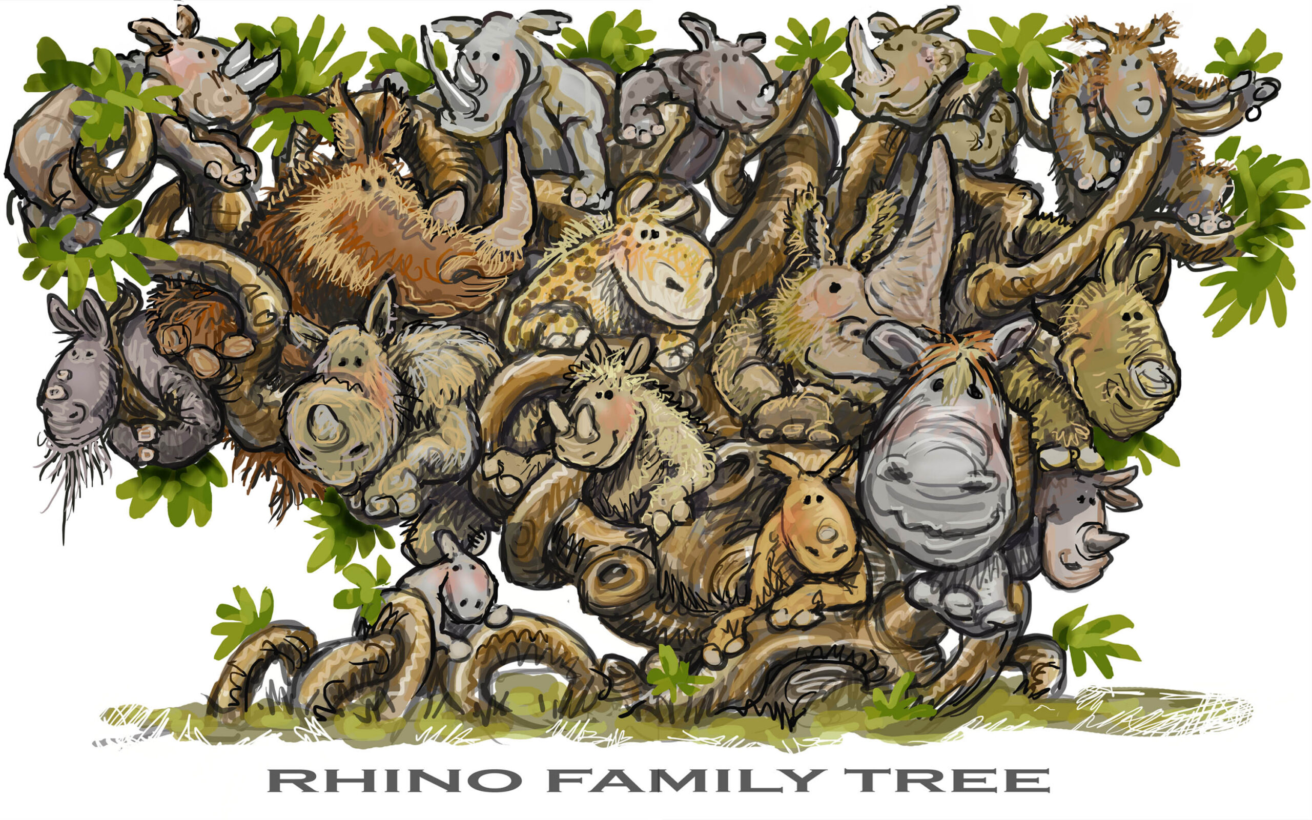 Schroder: Family Tree — Rhino Resource Center