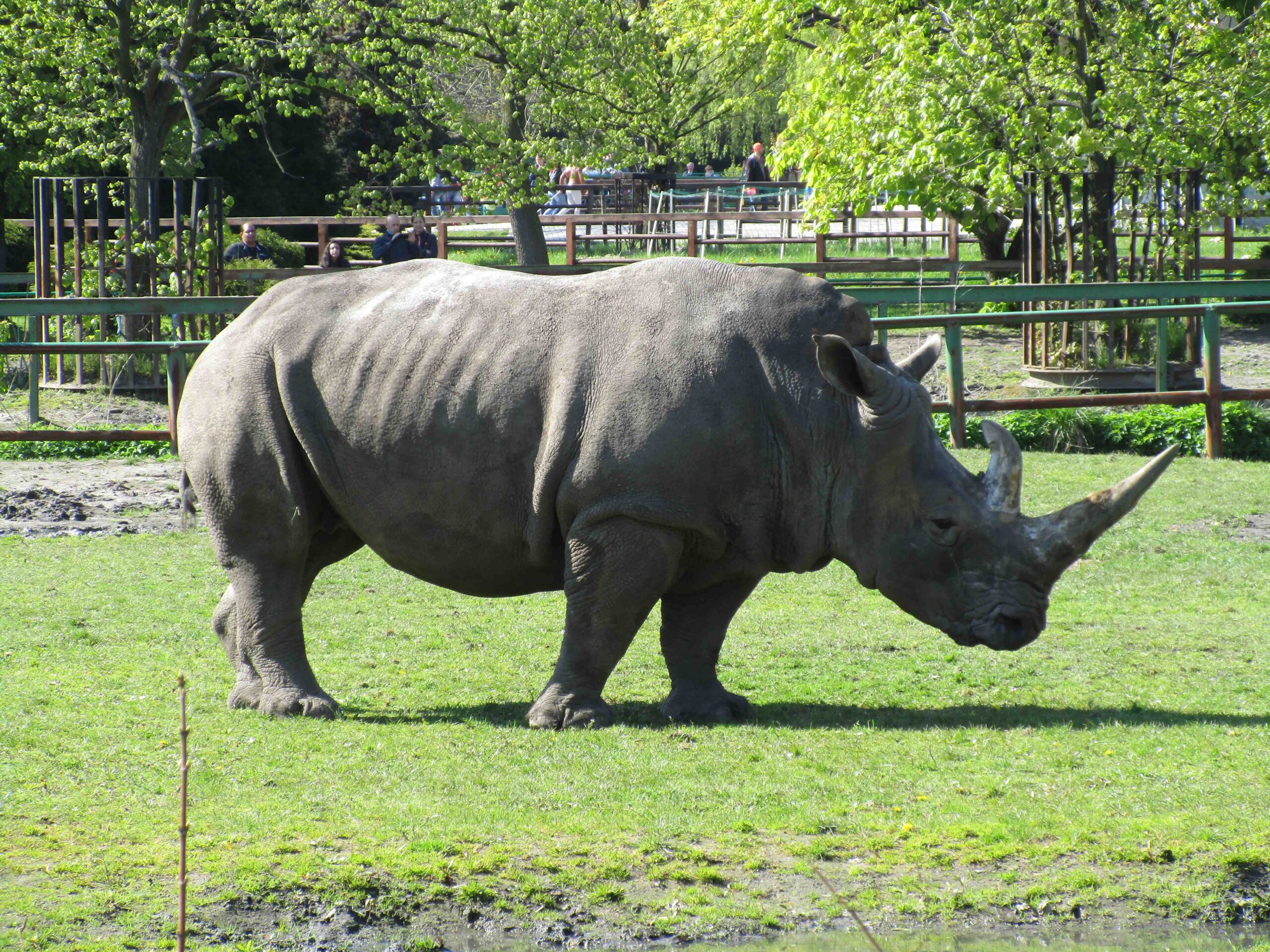 Katowice 2017 (3) — Rhino Resource Center