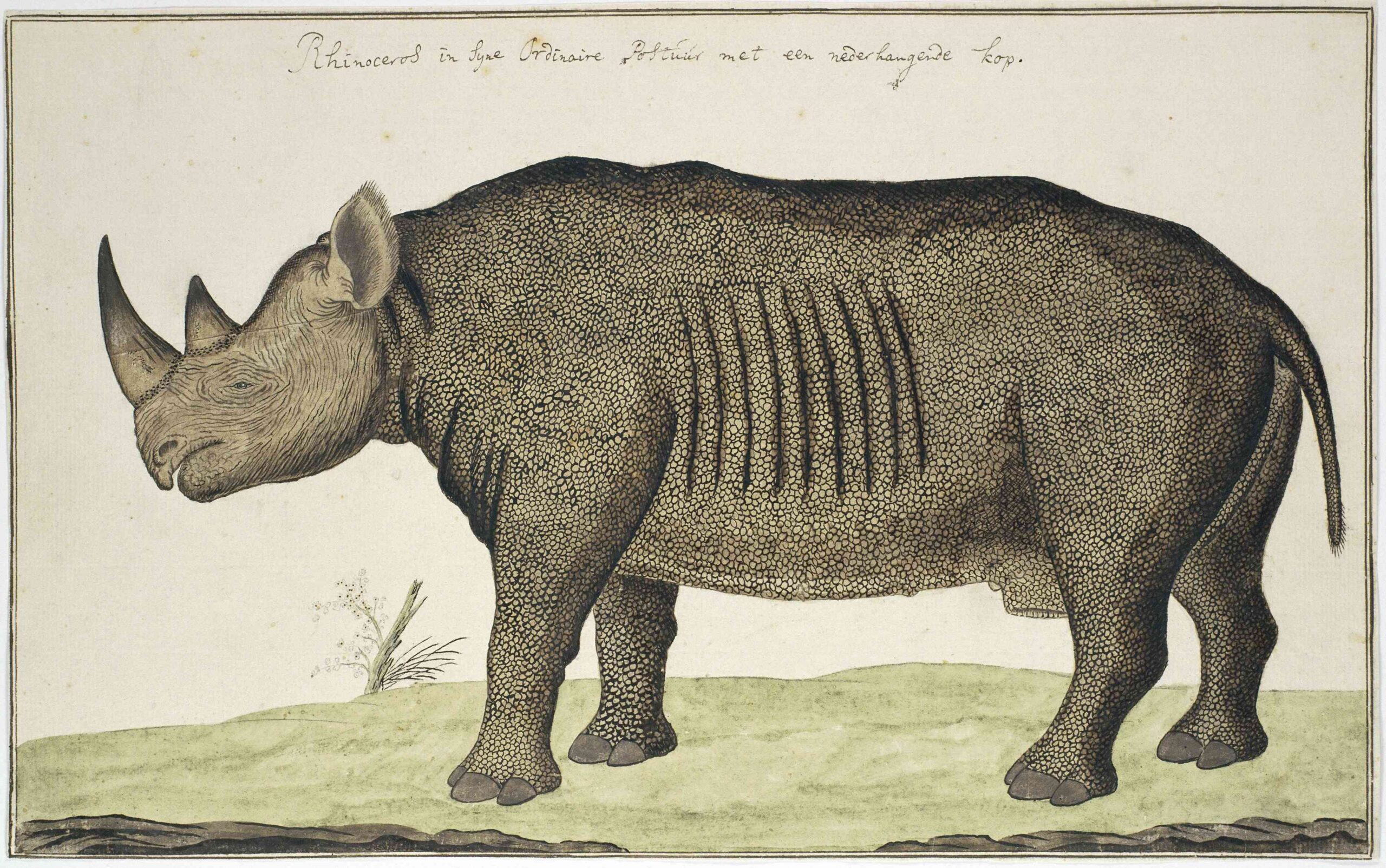 Gordon Atlas 206 — Rhino Resource Center