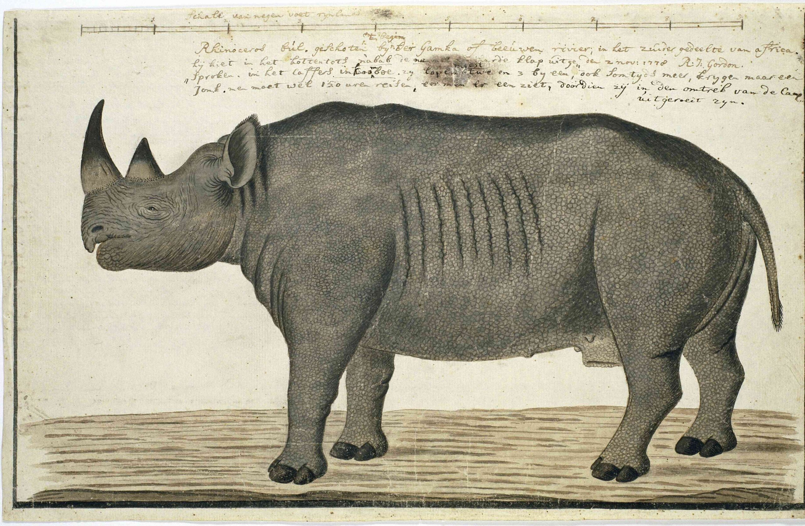 Gordon Atlas 205 — Rhino Resource Center