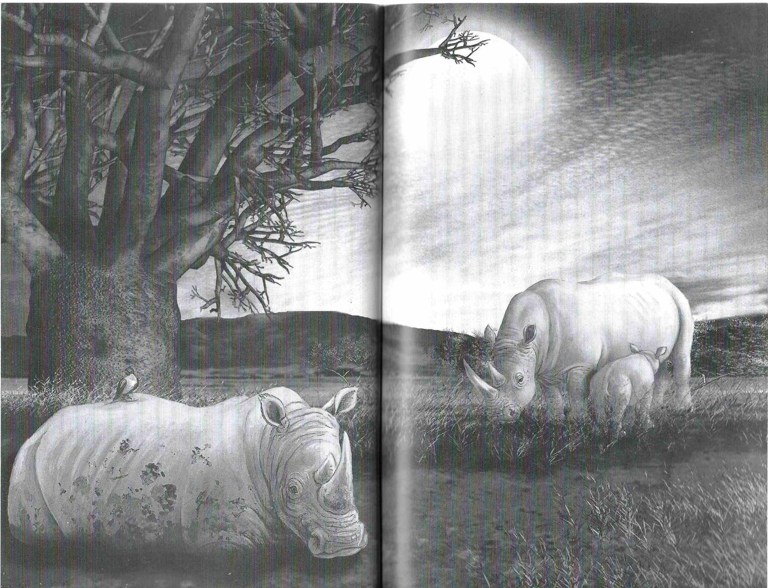 Surget rhinoceros 02 — Rhino Resource Center