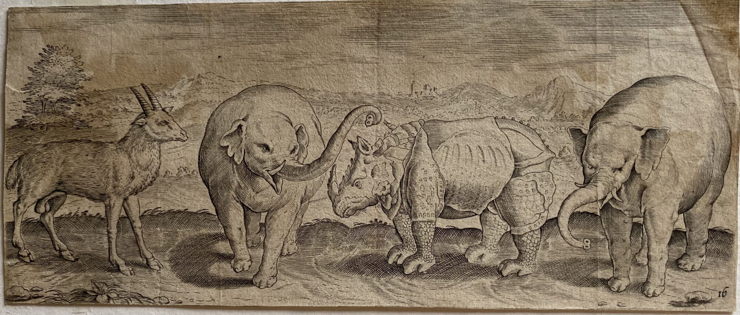 Marcus Gheeraerts the Elder — Rhino Resource Center